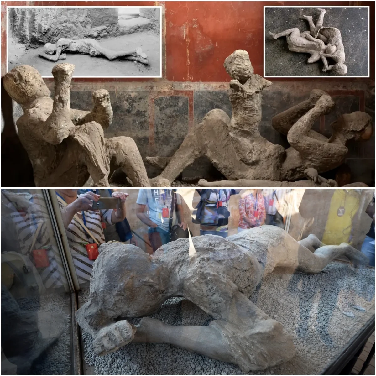 New DNA Evidence Reveals Hidden Secrets at Pompeii
