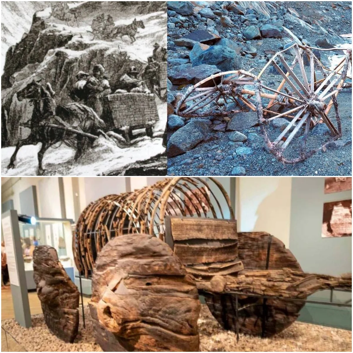 Unveiling the Mystery: Unexplained Bamboo ‘Wagon’ Discovered in the ...
