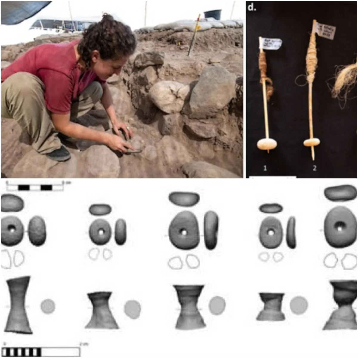 Ancient 12,000-Year-Old Stones Unveil Early Wheel-Like Technology