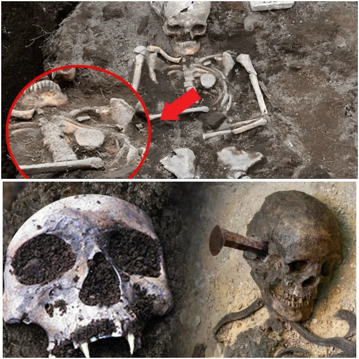 Iron Bar Buried Beside Sozopol ‘Vampire Skeleton’ to Stop Its Resurrection