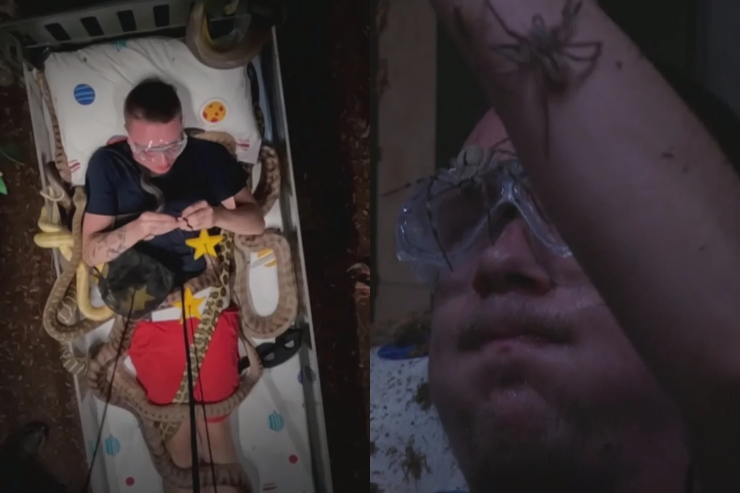 "NO WAY!": I'm A Celebrity's Most Horrifying Challenge in History Gets ...